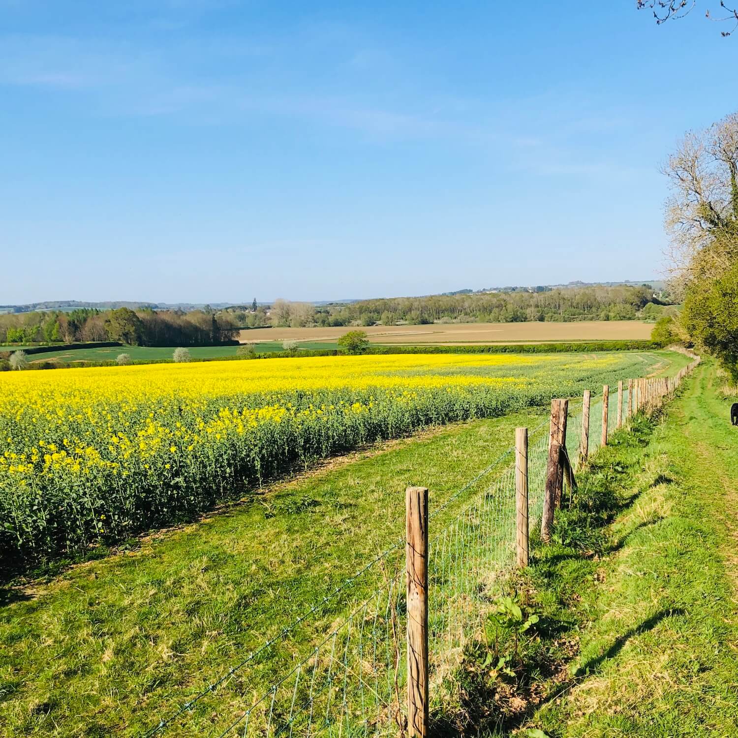 How we farm – Bruern Farms